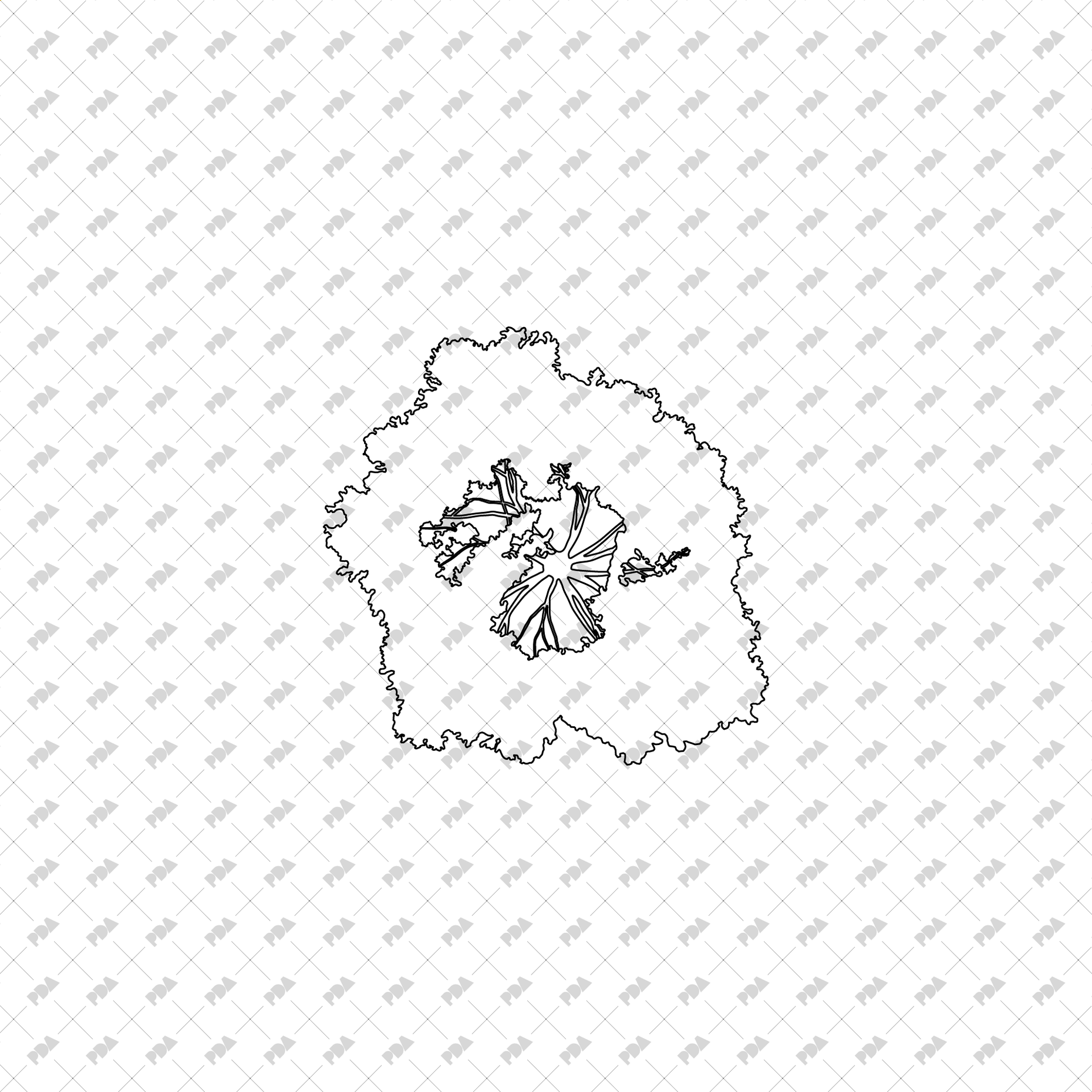 CAD, Vector Trees Set (Top and Side View)