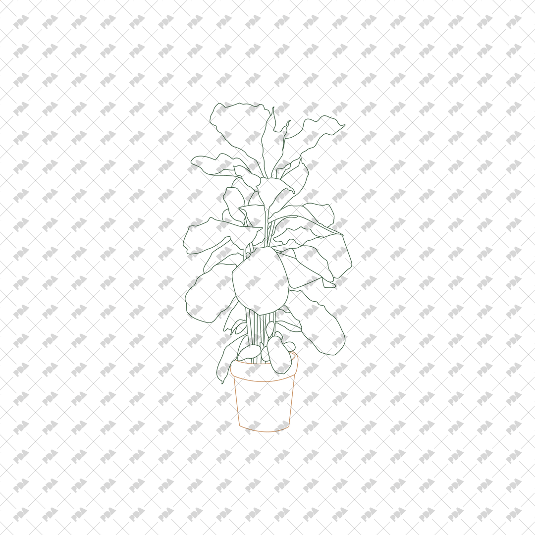 CAD, Vector Indoor Plants in Color and B/W Set (Front view)