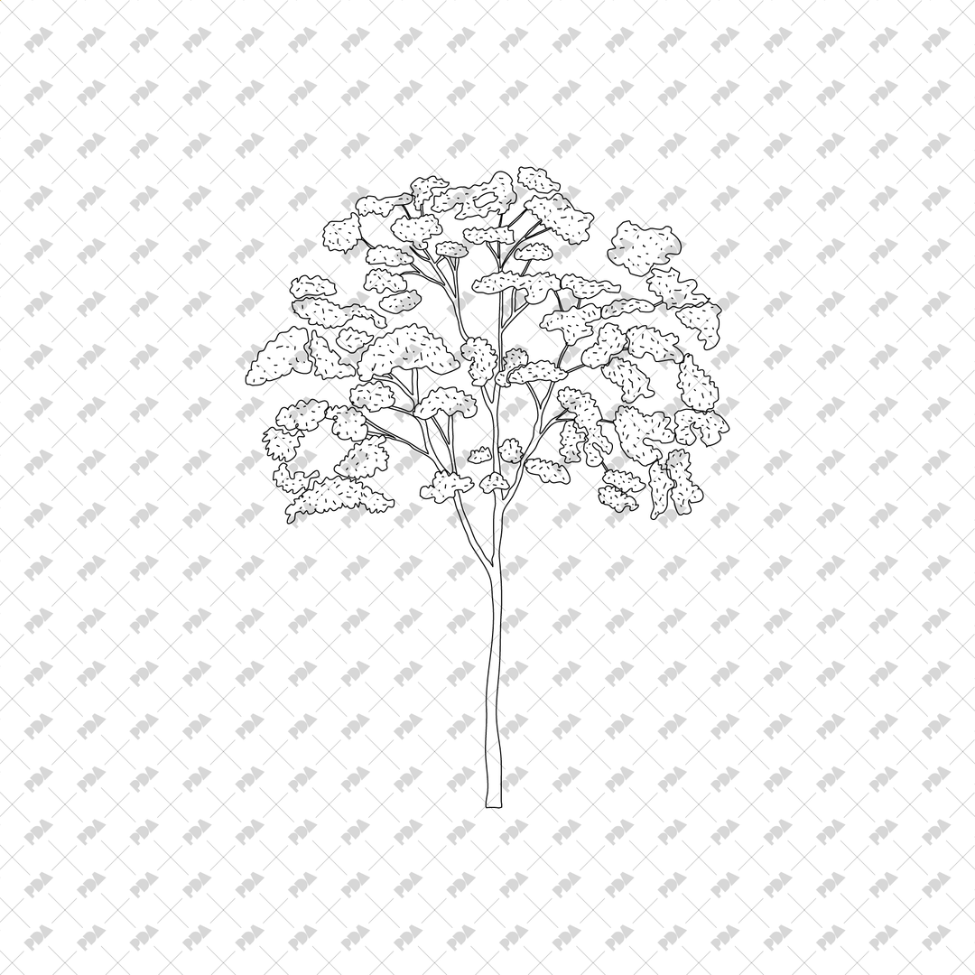 CAD, Vector Trees and Plants in Top and Side View Set