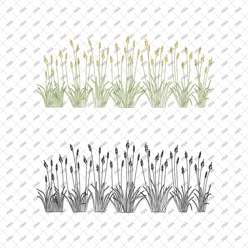 CAD, Vector Grass Beds in Color and B/W | Post Digital Architecture
