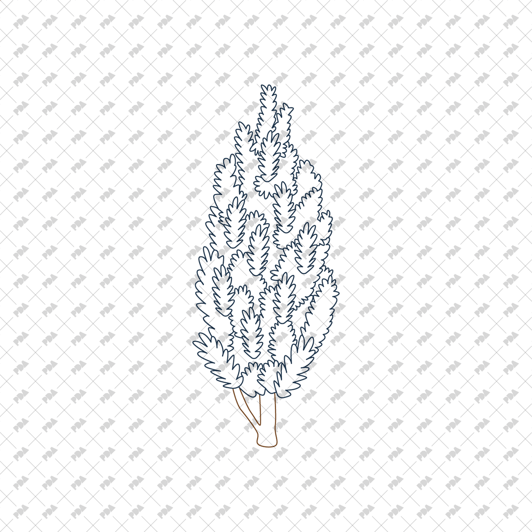 Hand Drawn Coniferous Trees (Side view)