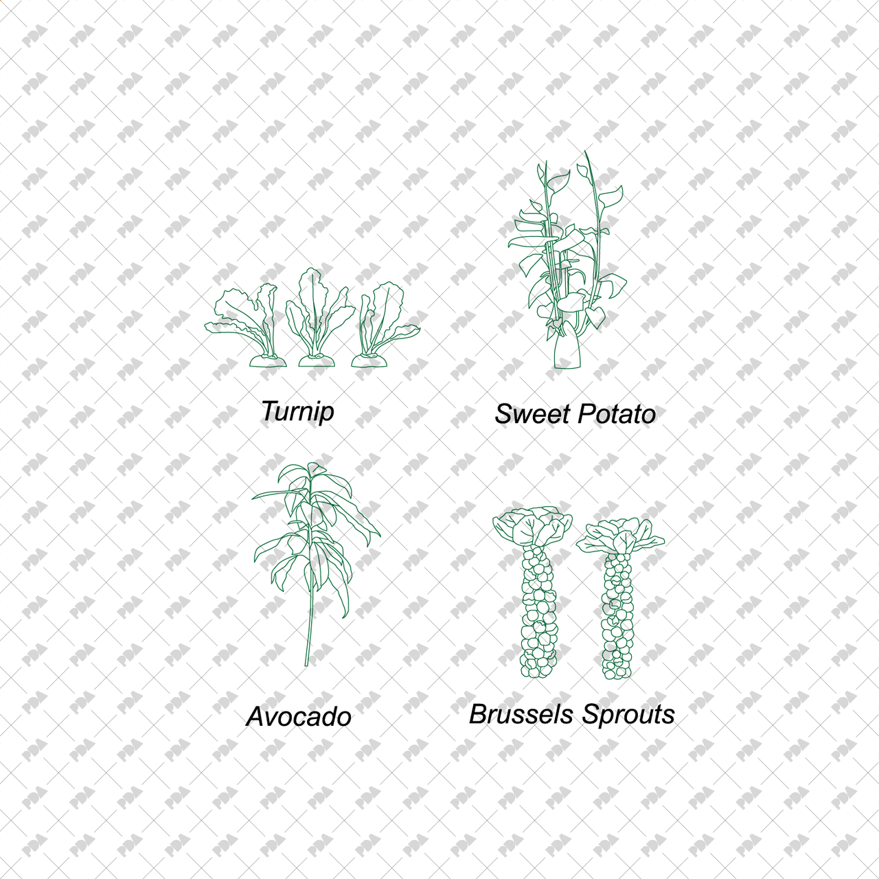 CAD Vector Vegetable Plants Multi-Pack – Post Digital Architecture