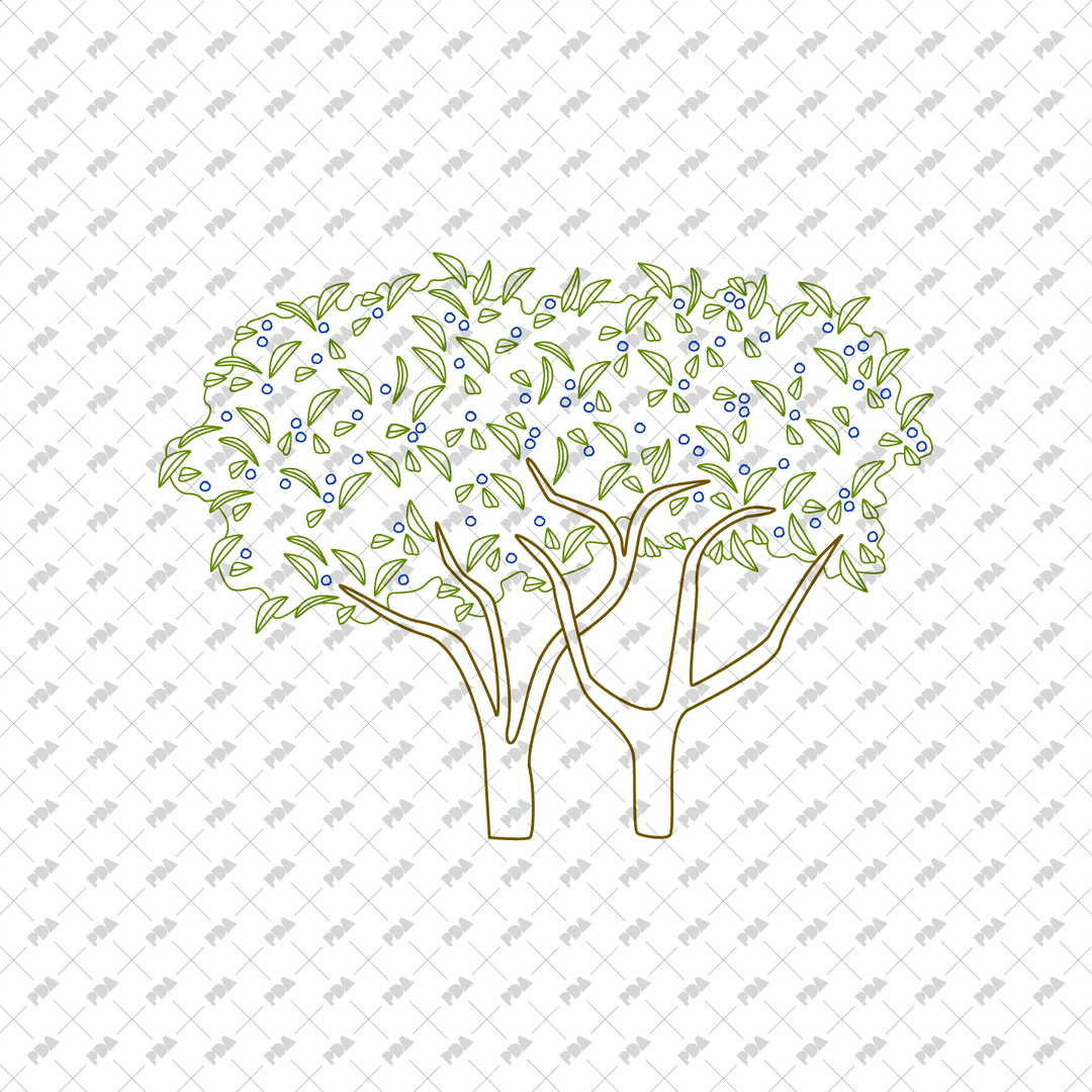 CAD, Vector Fruit Trees in Color and B/W
