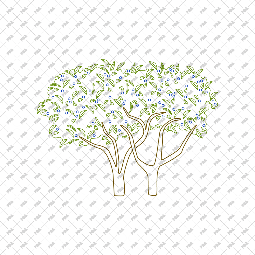 CAD, Vector Fruit Trees in Color and B/W