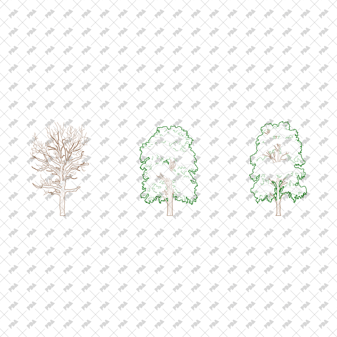 CAD, Vector, PNG Winter Trees in Color and B/W