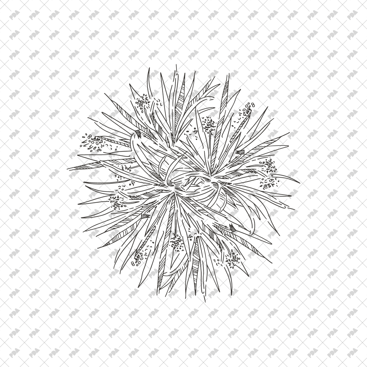 Vector, PNG Hand Drawn Trees in Top View Set