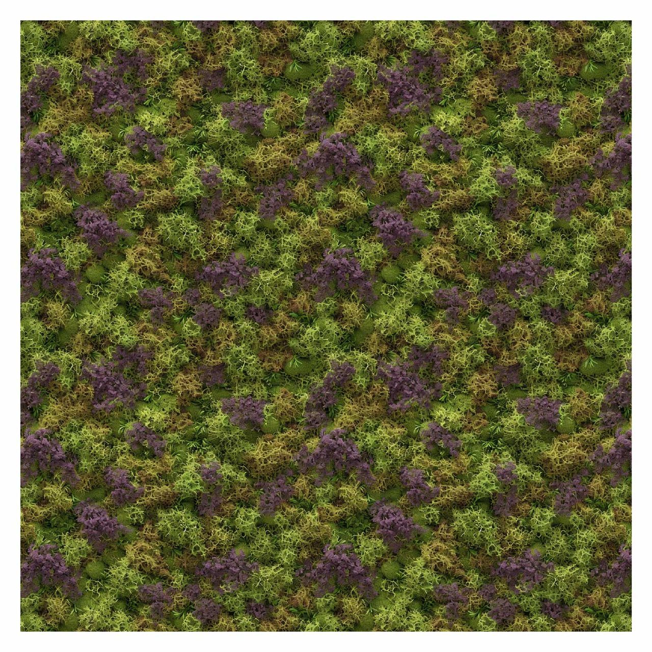 Pattern Library - Seamless Moss Textures