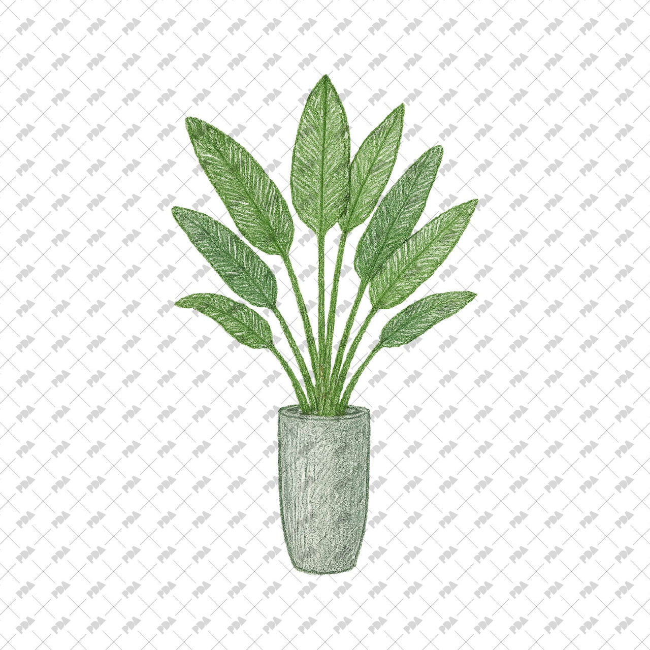 PNG Rough Hand-Drawn Plant Cutouts