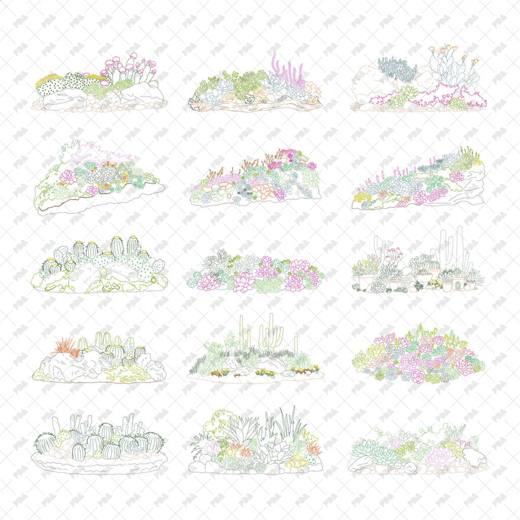 CAD, Vector, PNG Succulent and Cactus Beds in Color and B/W | Post ...