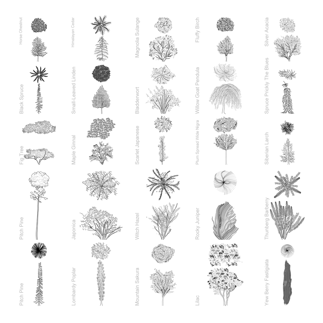 CAD, Vector, PNG Japanese Style Trees in Top and Side view