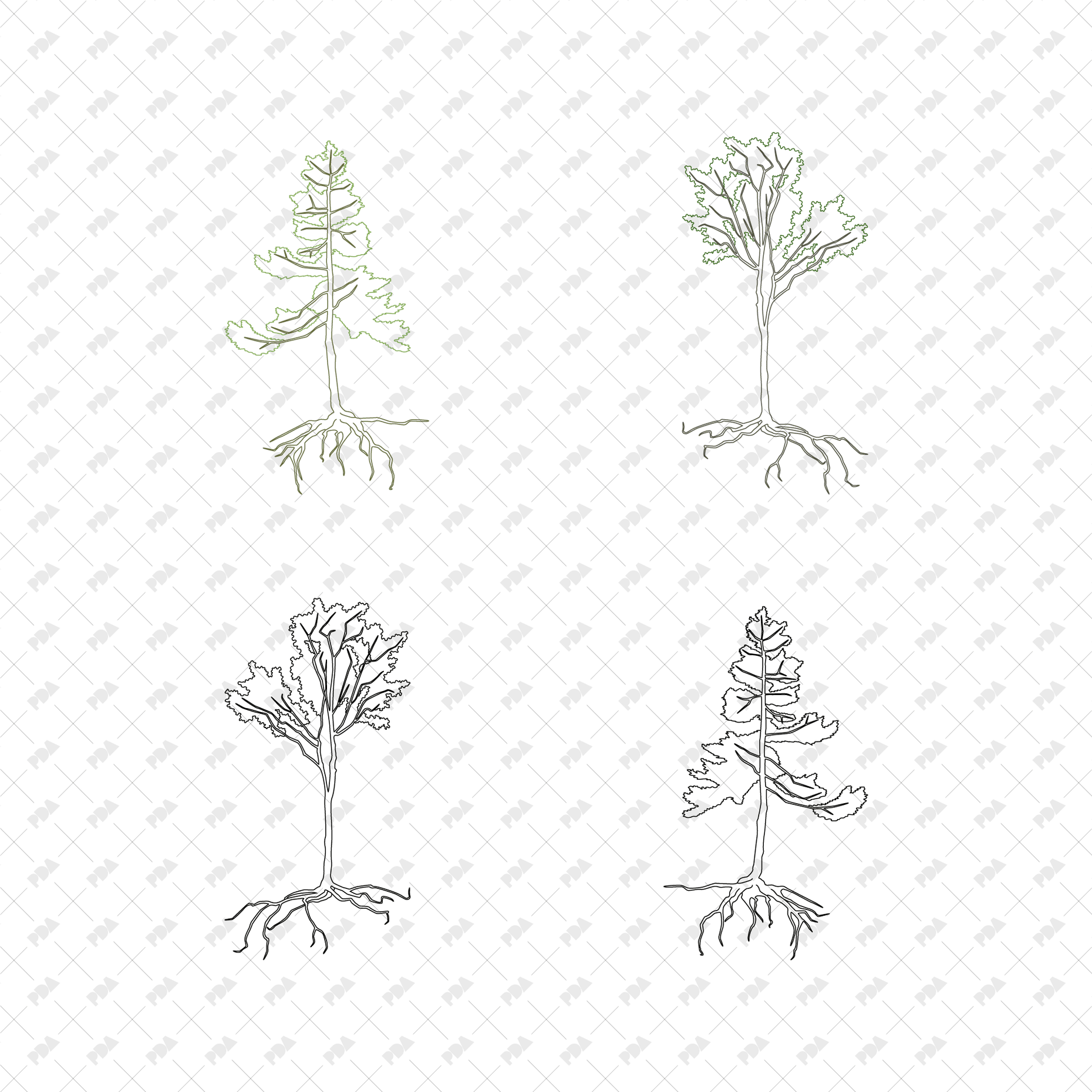 CAD, Vector Trees with Roots in Color and B/W