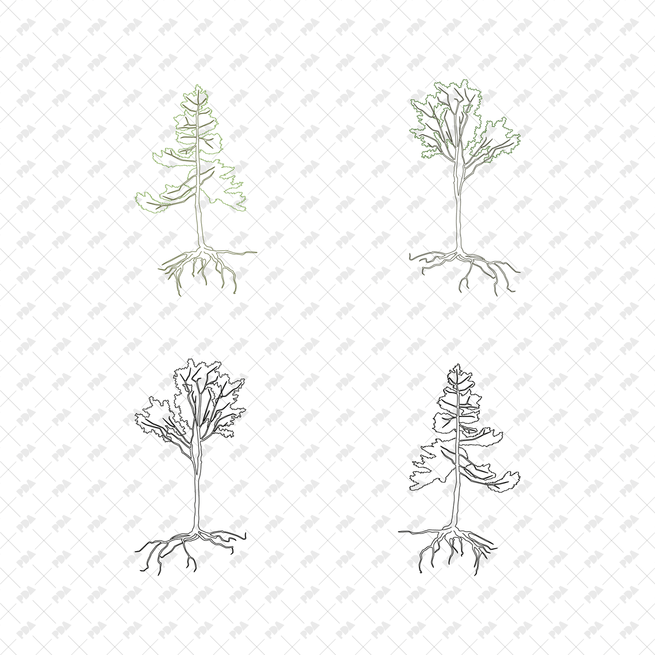 CAD, Árboles vectoriales con raíces en color y B/N