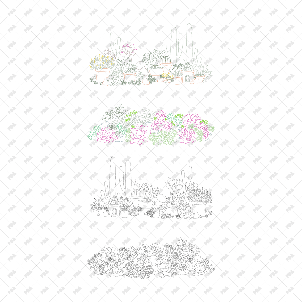 CAD, Vector, PNG Succulent and Cactus Beds in Color and B/W