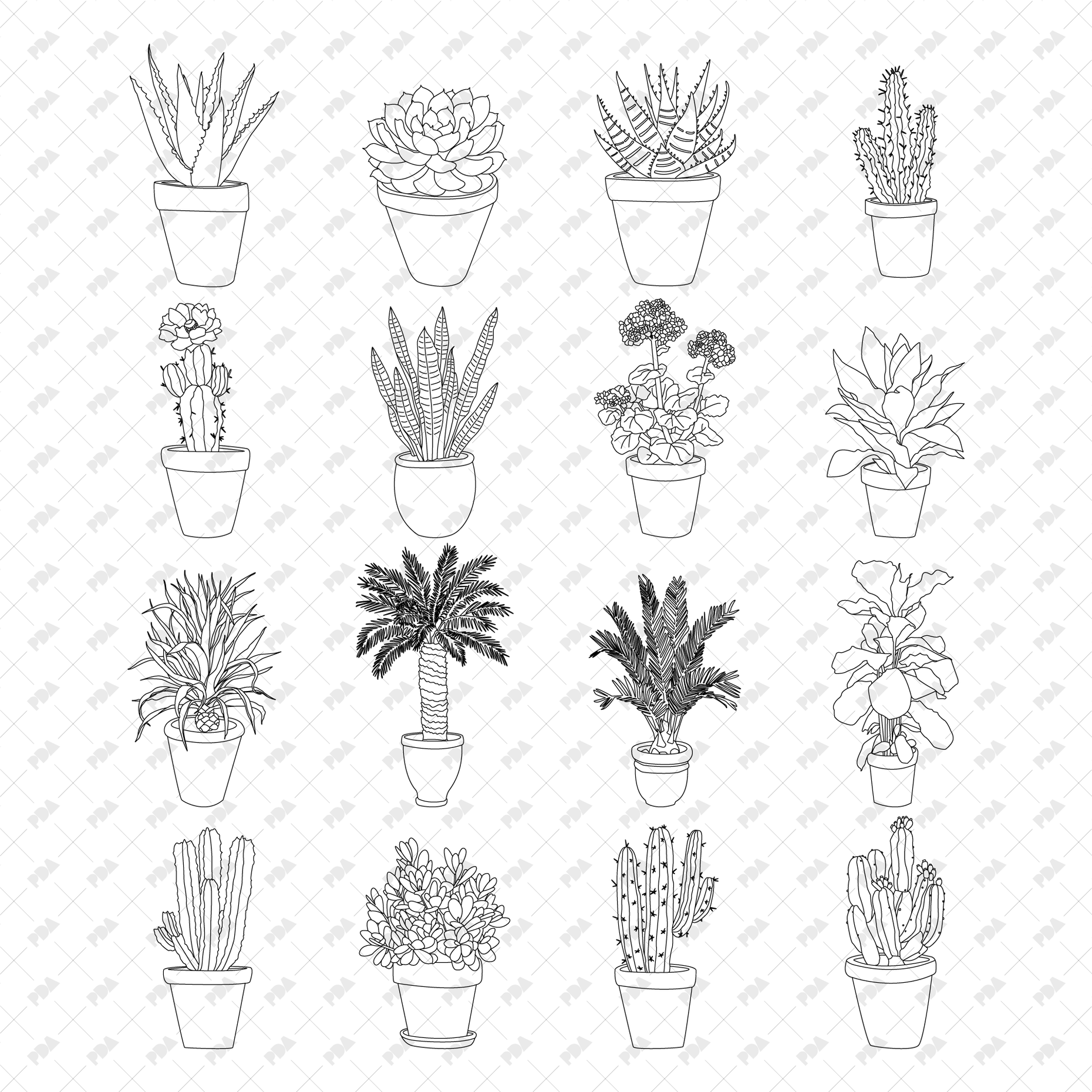 CAD, Vector Indoor Plants in Color and B/W Set (Front view)