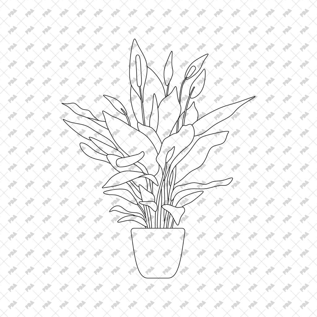 Potted Interior Plants CAD Vector Set for 2D Drawings