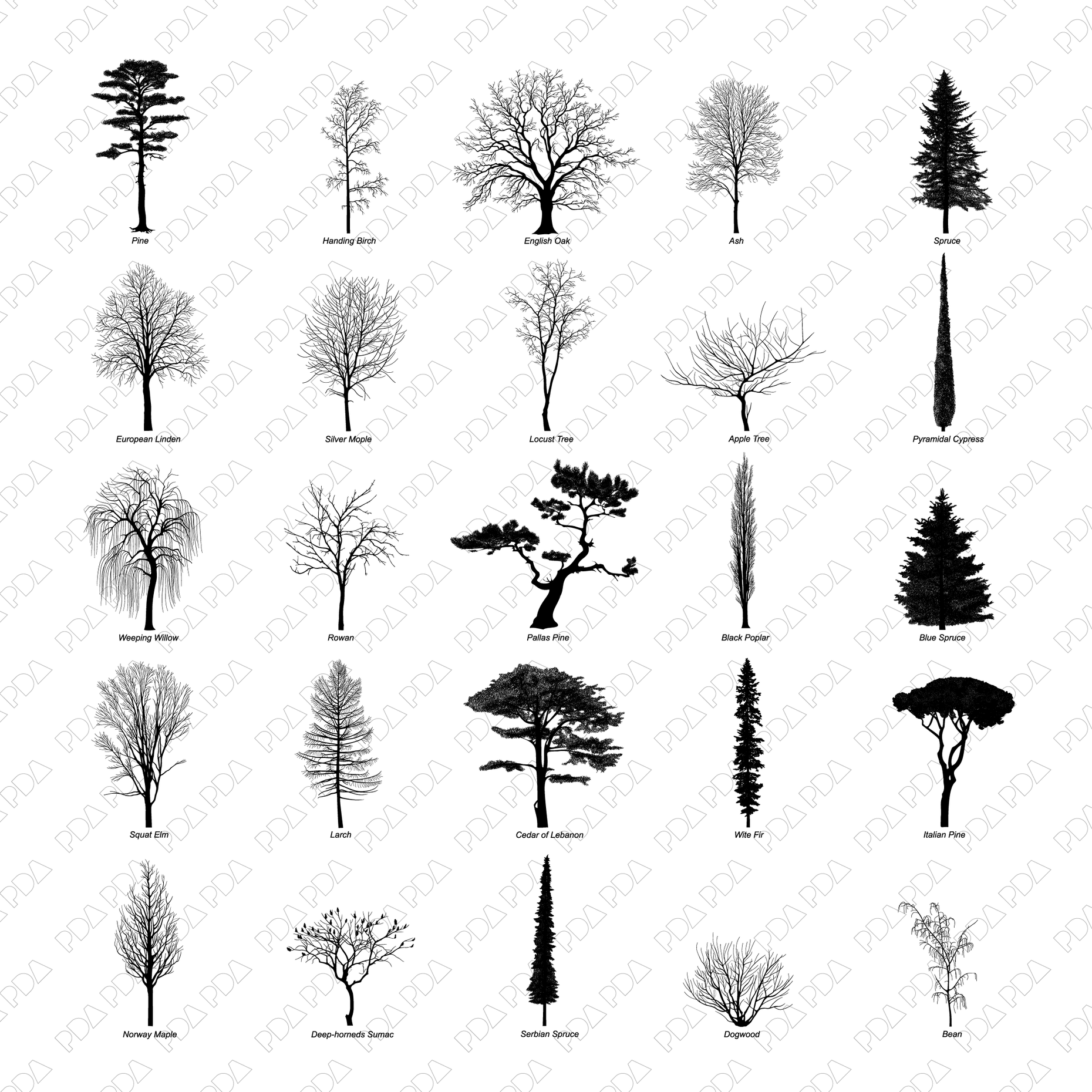 Vector and PNG Trees - 25 Side View Trees