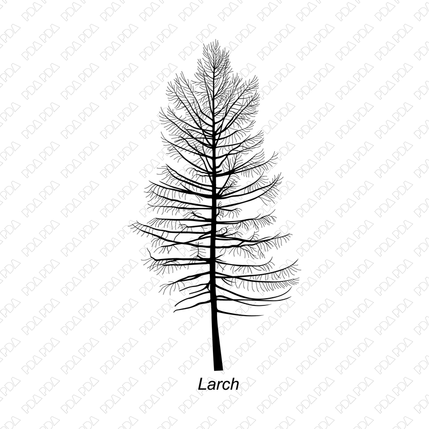 Vector and PNG Trees - 25 Side View Trees