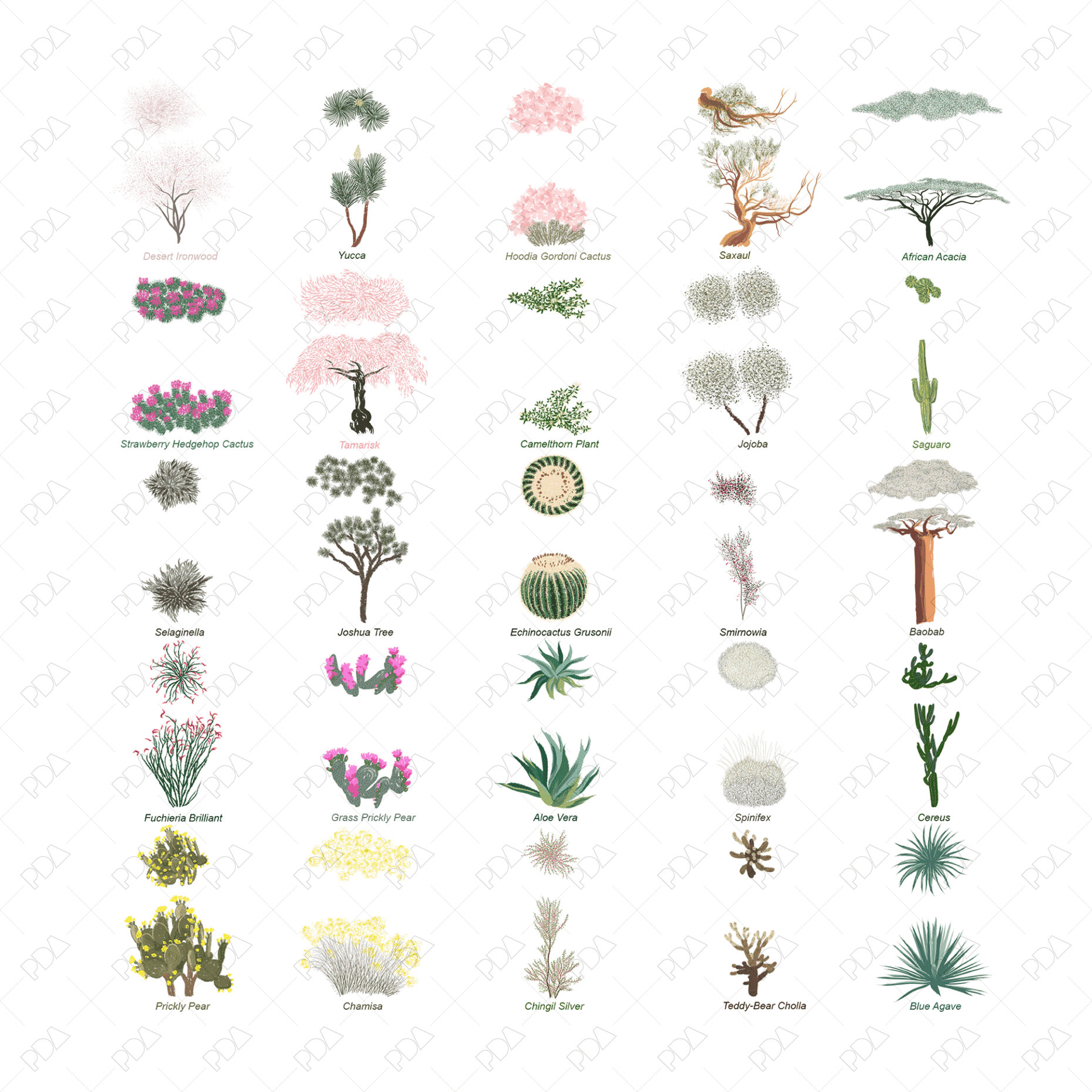 Architectural PNG Trees and Plants for Design Projects