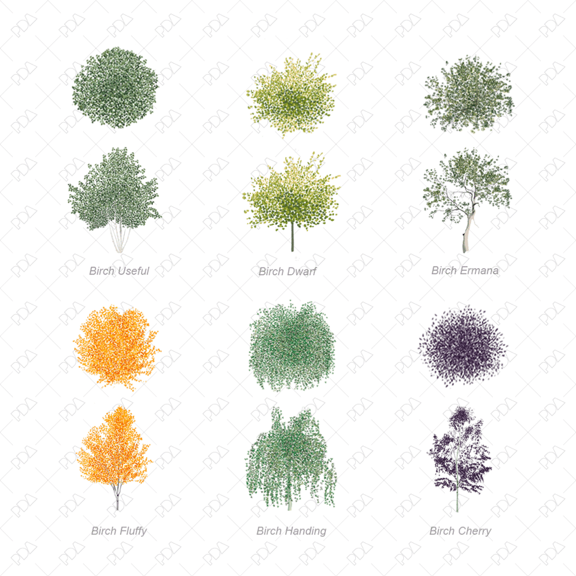 PNG Japanese Trees Multi-Pack (Top + Side View)