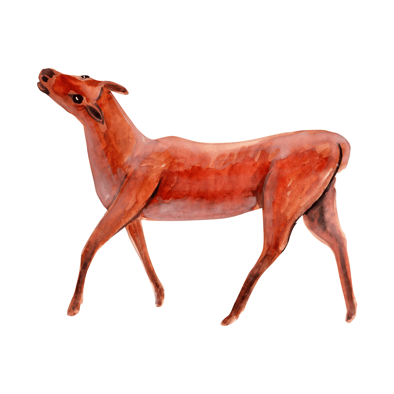 PNG Hand Drawn Animals Inspired by Pirosmani