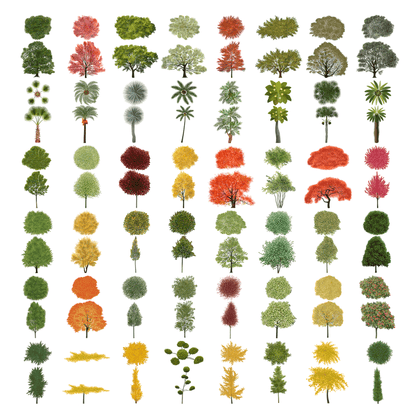 PNG Colorful Trees Multi-Pack (Top and Front Views) | Post Digital ...