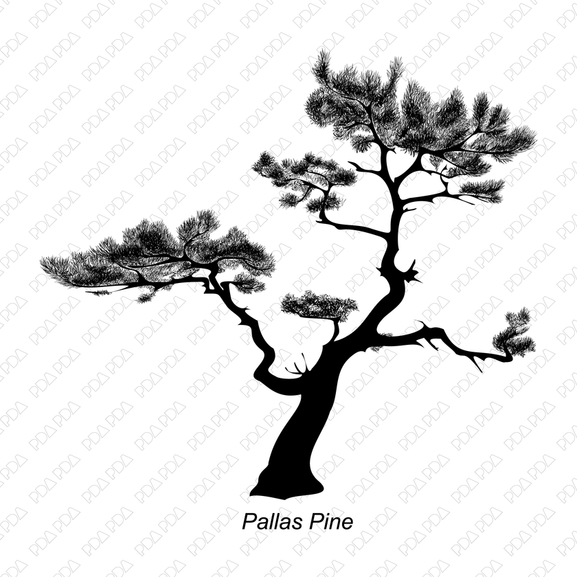 Vector and PNG Trees - 25 Side View Trees
