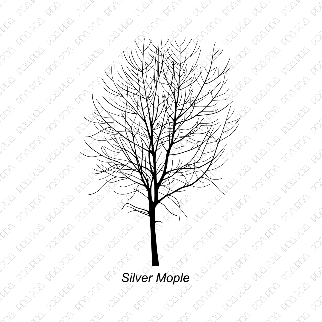 Vector and PNG Trees - 25 Side View Trees