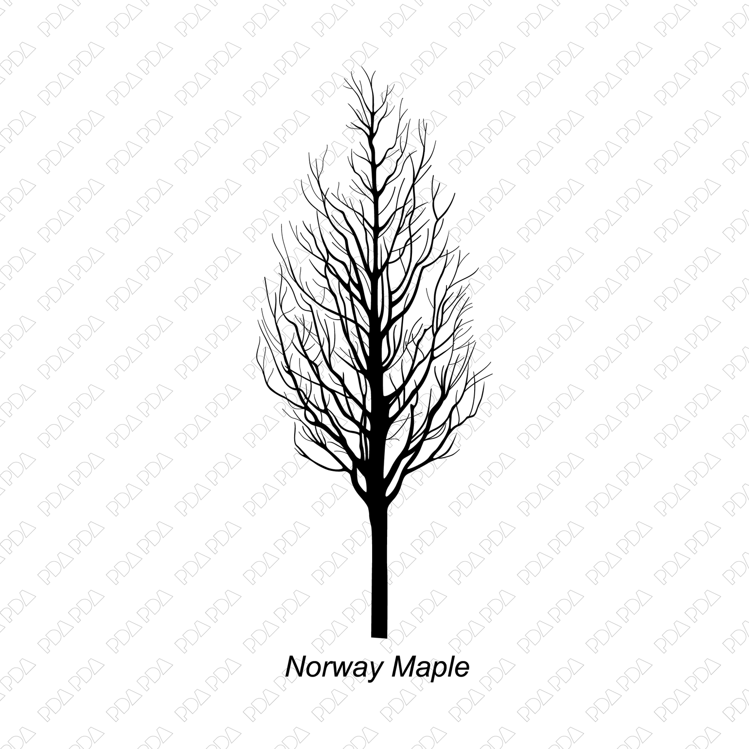 Vector and PNG Trees - 25 Side View Trees