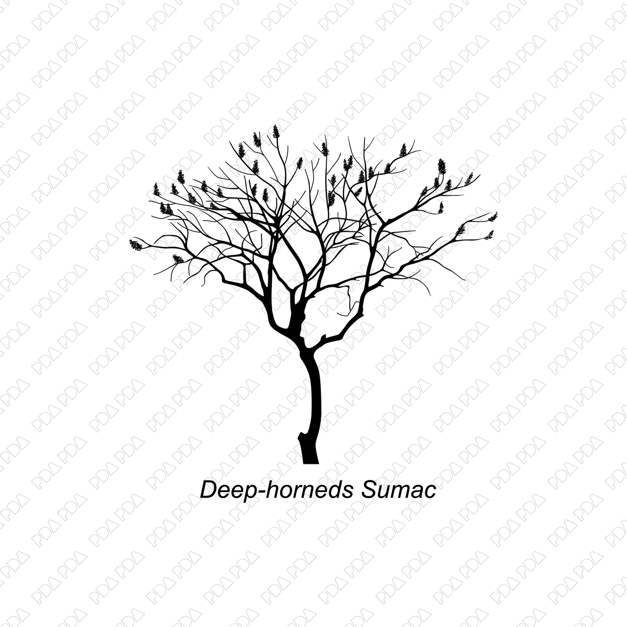 Vector and PNG Trees - 25 Side View Trees – Post Digital Architecture