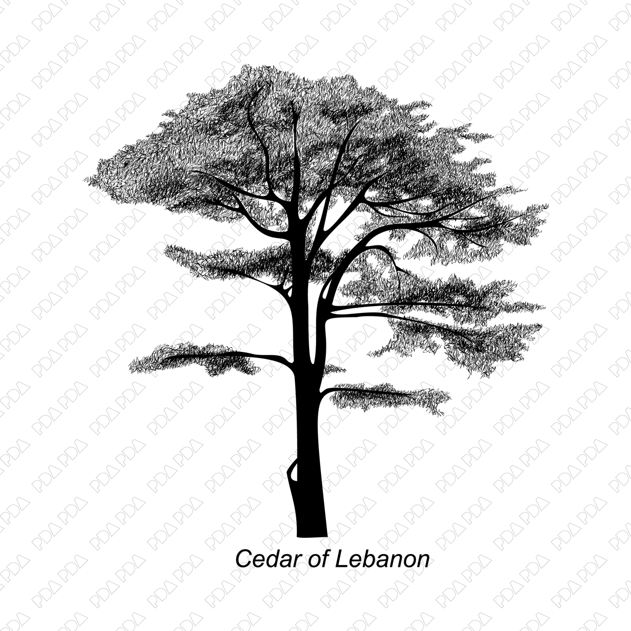 Vector and PNG Trees - 25 Side View Trees