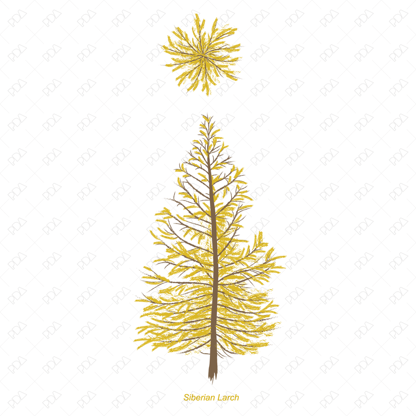 Colorful Japanese Style Trees Vectors & PNGs
