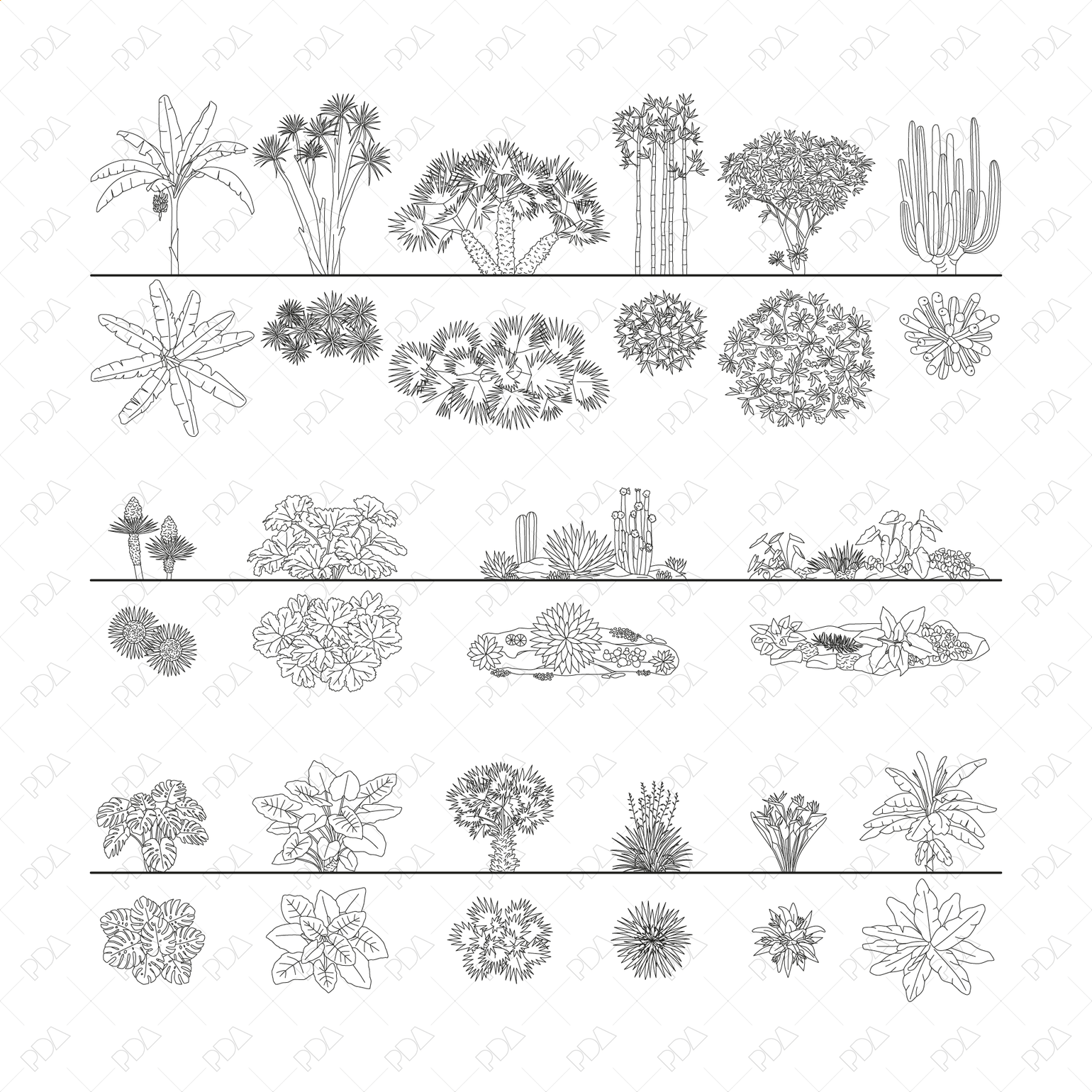 CAD, Vector Tropical Plants Set (Top + Side view)