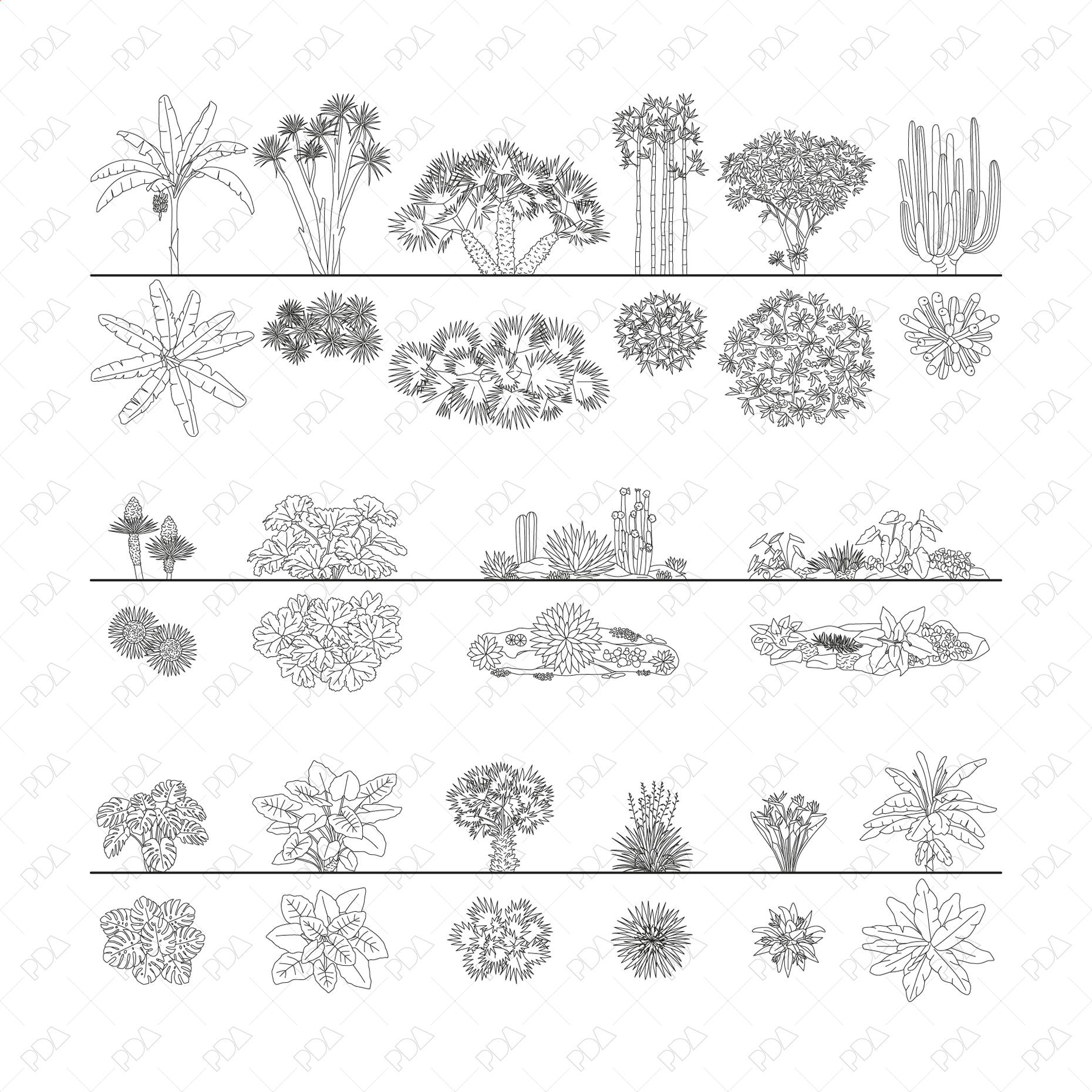 CAD, Vector Tropical Plants Set (Top + Side view)