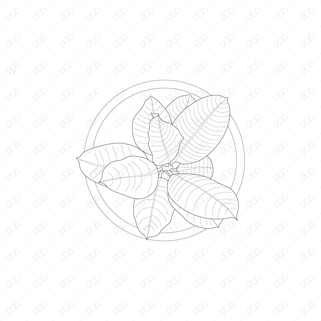 Top View Indoor Plants CAD & Vector Set