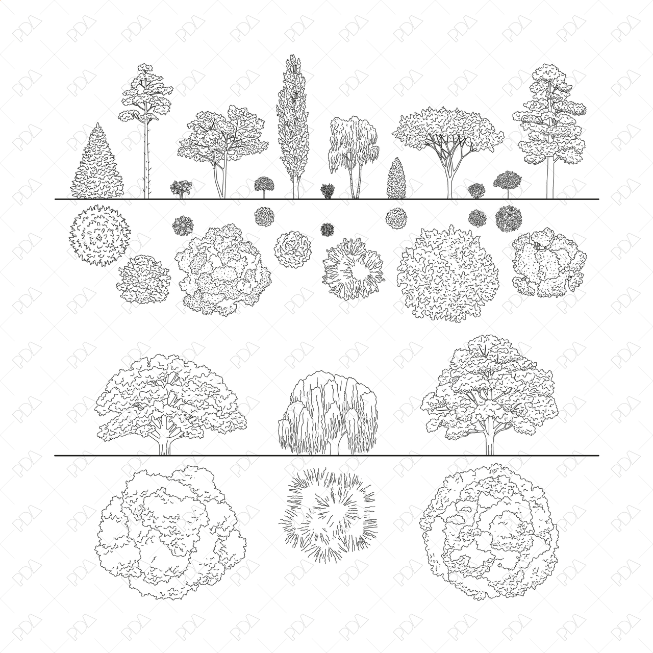 CAD & Vector European Trees & Plants Set – Post Digital Architecture
