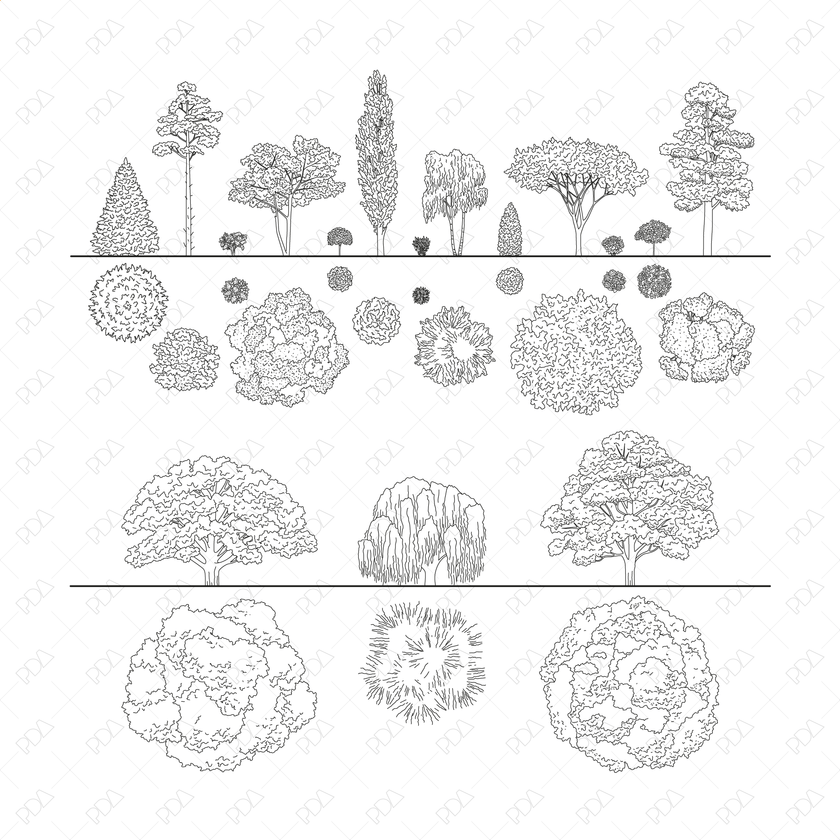 CAD & Vector European Trees & Plants Set – Post Digital Architecture