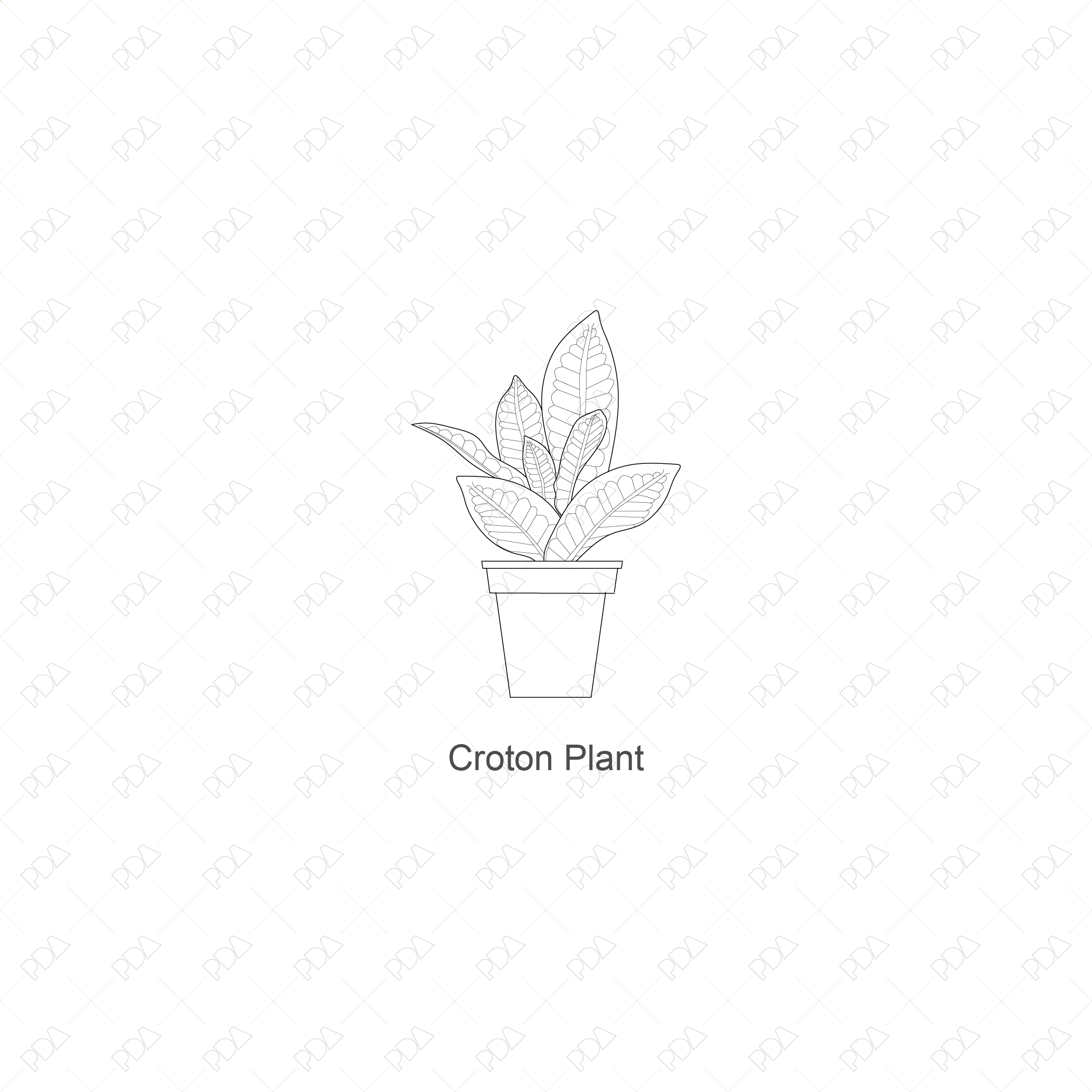 CAD & Vector Indoor Plants Set - Front View