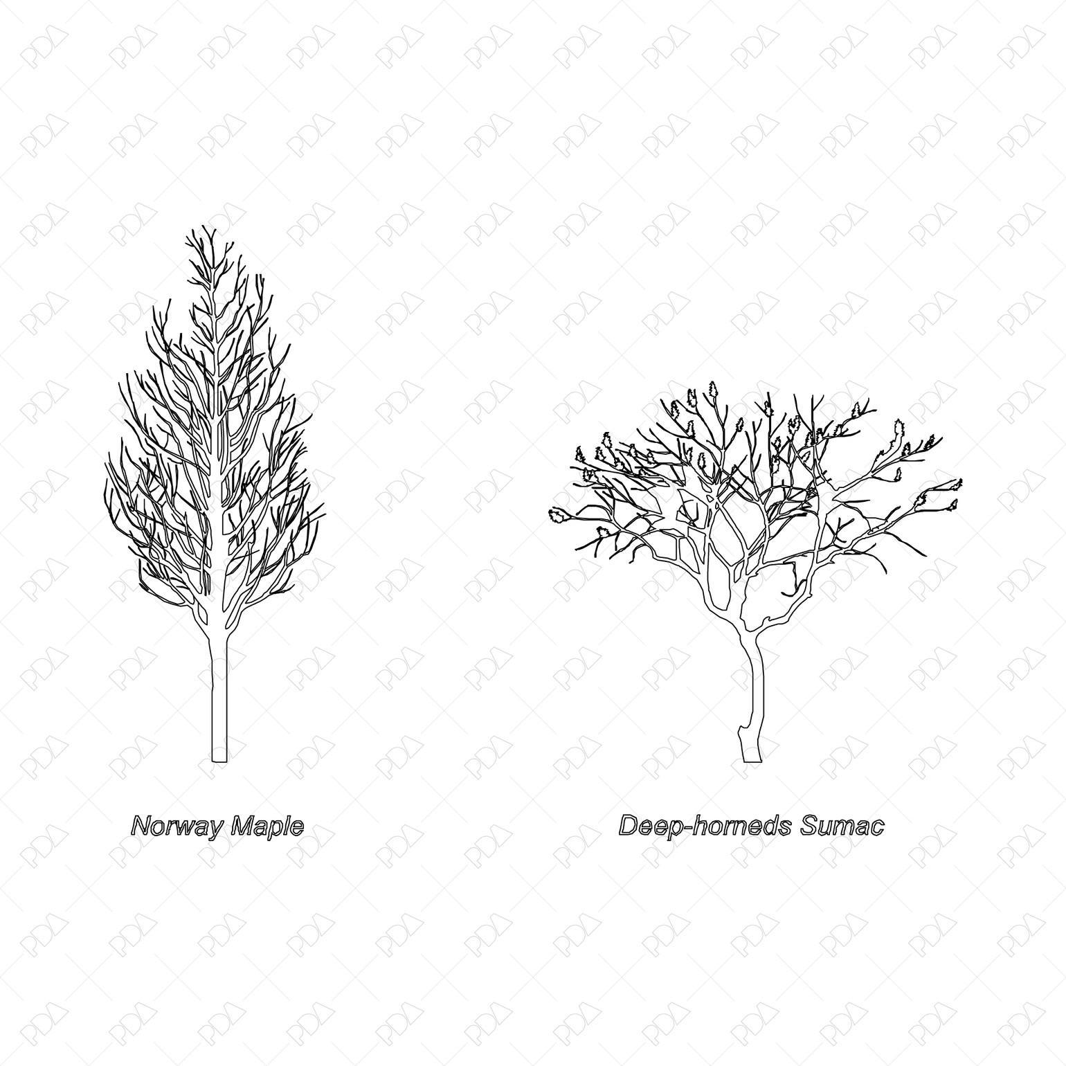CAD & Vector Line Art Trees - Side View