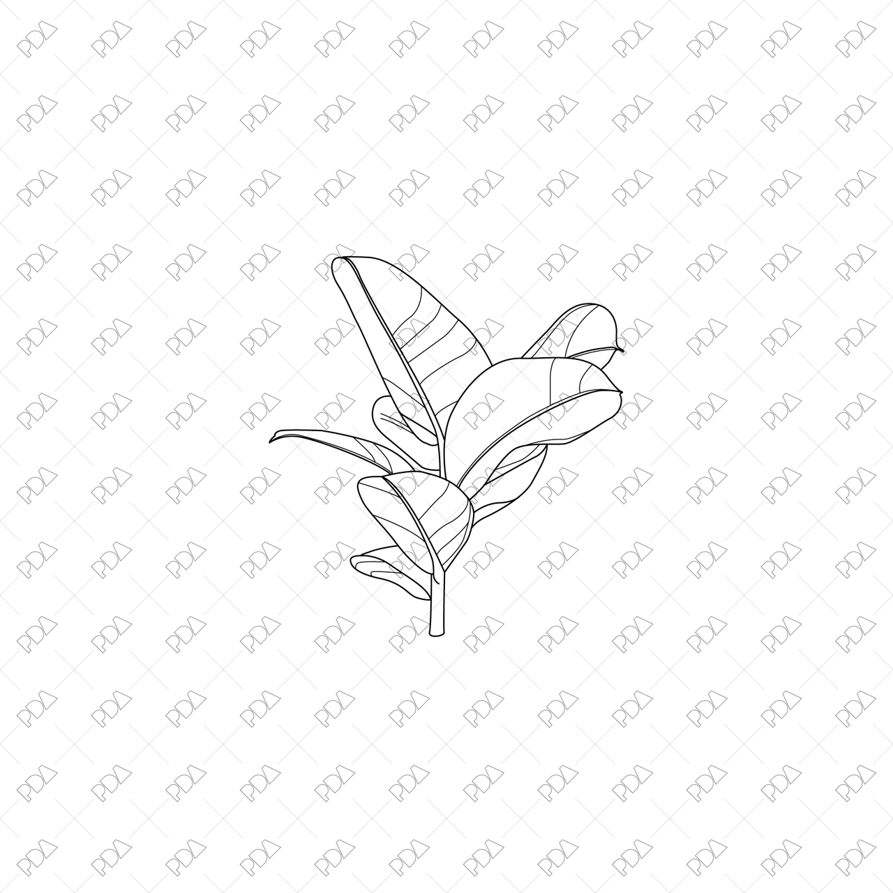 Large Leaves Plants Multi-Pack - CAD & Vector