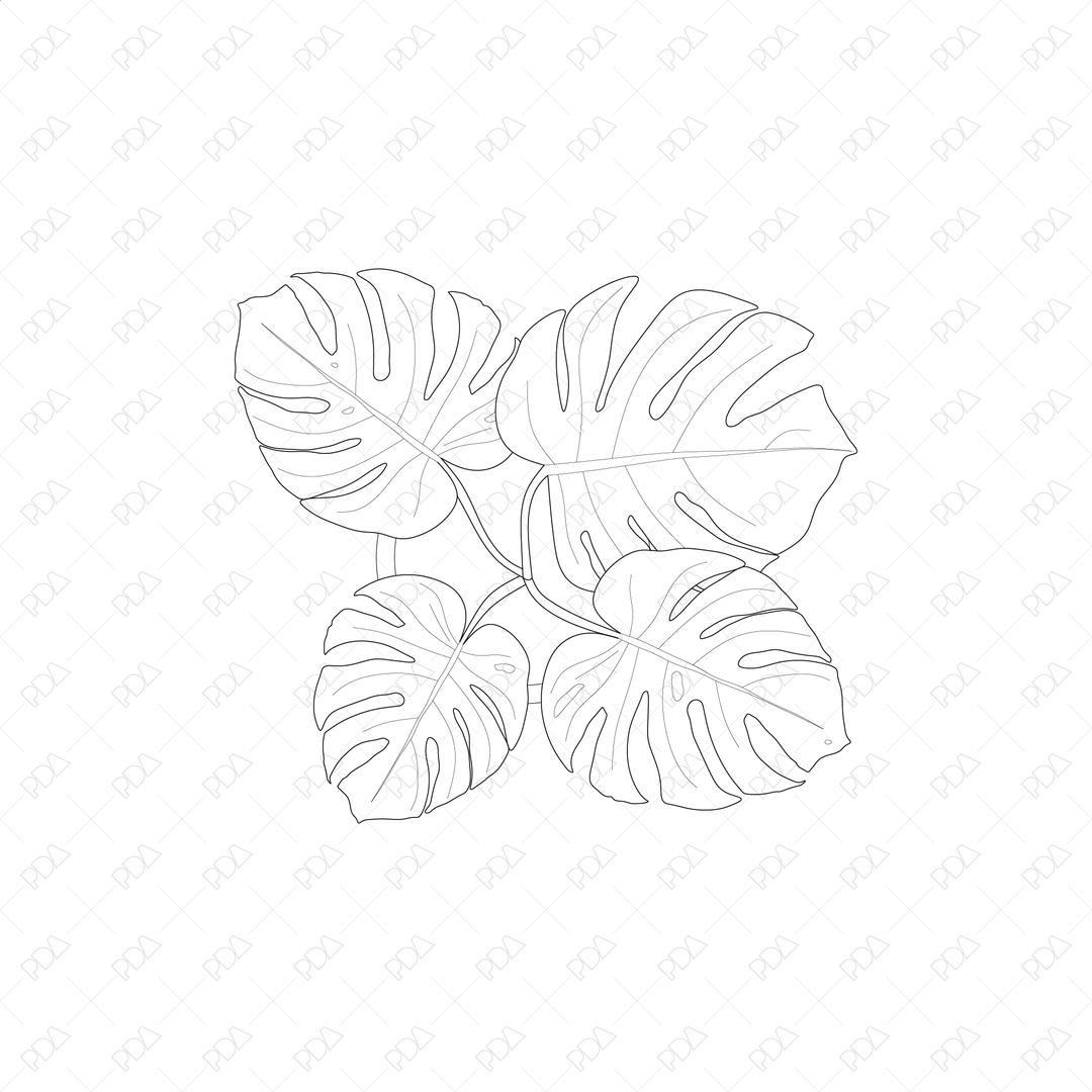 Top View Indoor Plants CAD & Vector Set