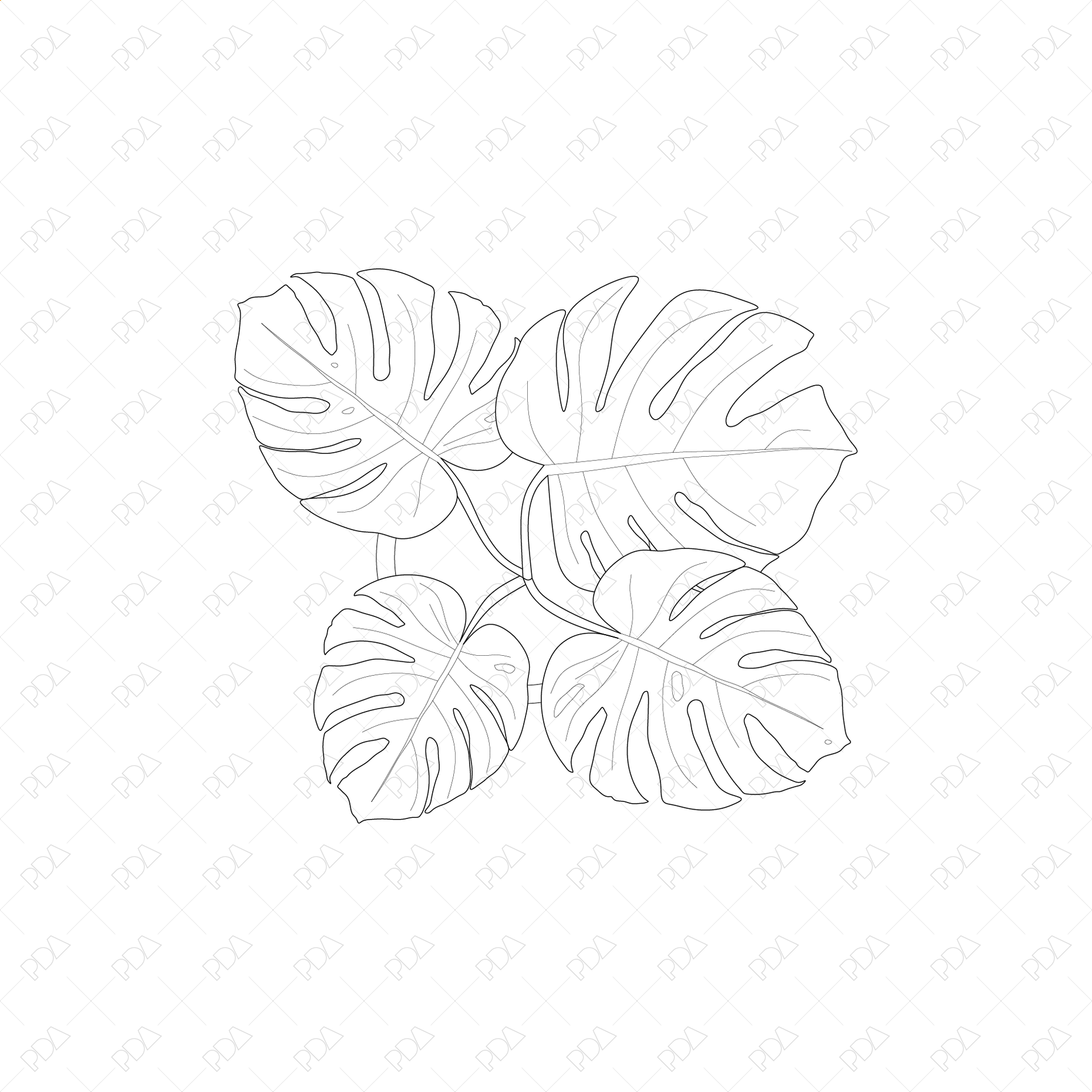 Top View Indoor Plants CAD & Vector Set
