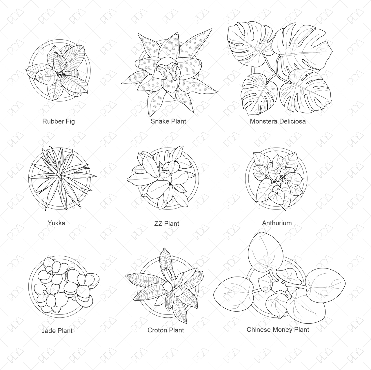Top View Indoor Plants CAD & Vector Set