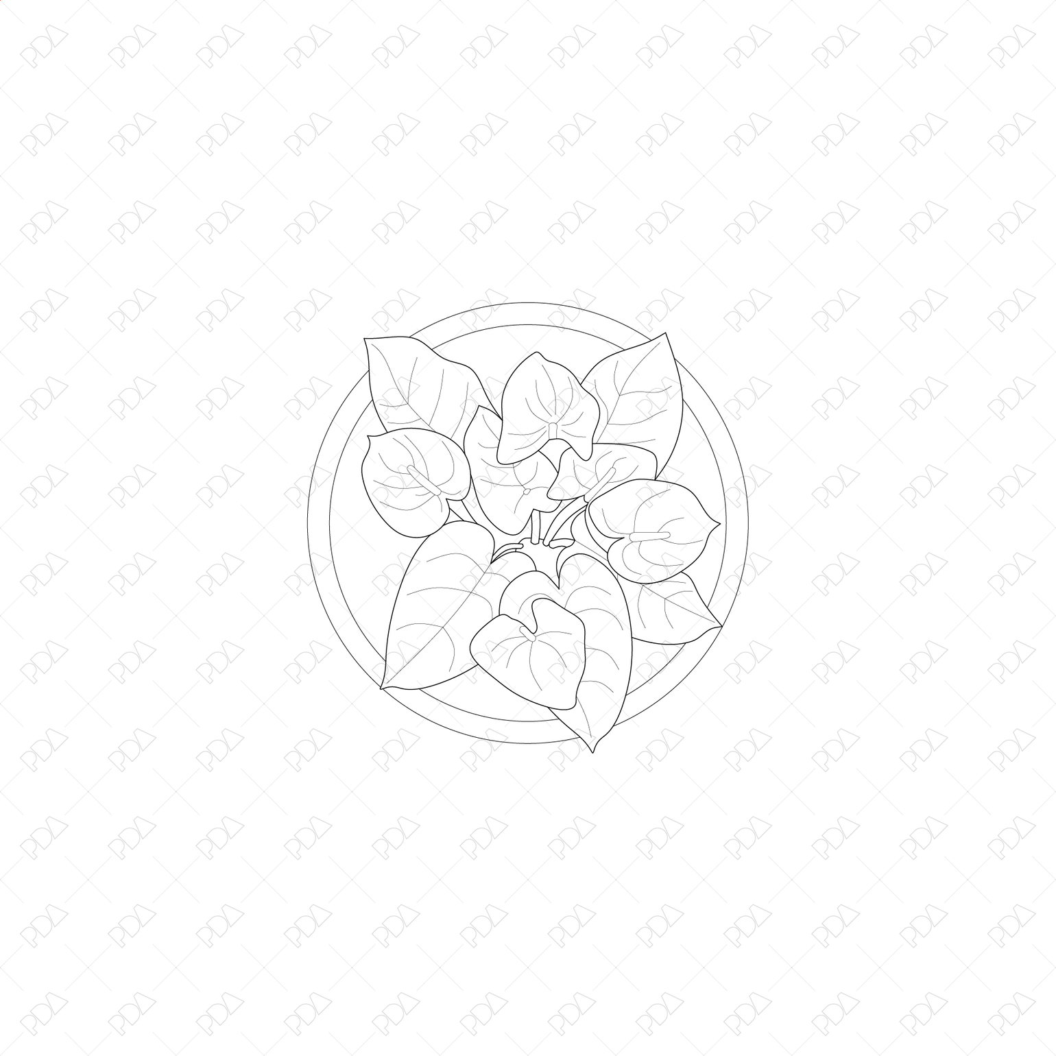 Top View Indoor Plants CAD & Vector Set