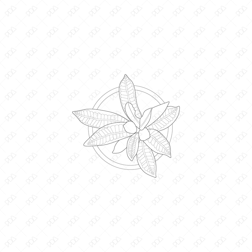 Top View Indoor Plants CAD & Vector Set