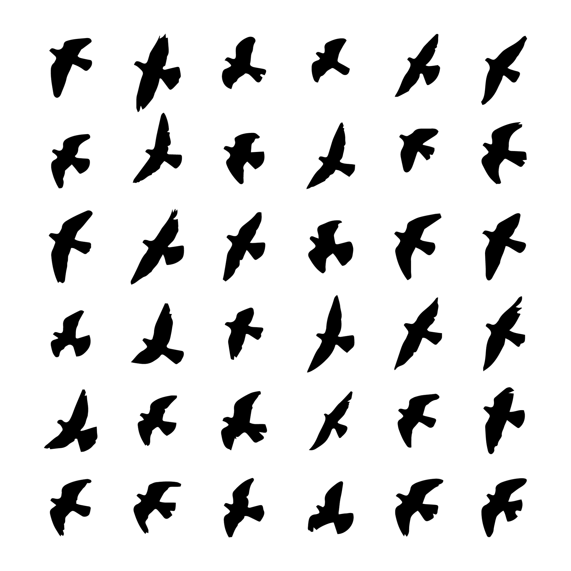 Vector Silhouette Birds Set | Post Digital Architecture
