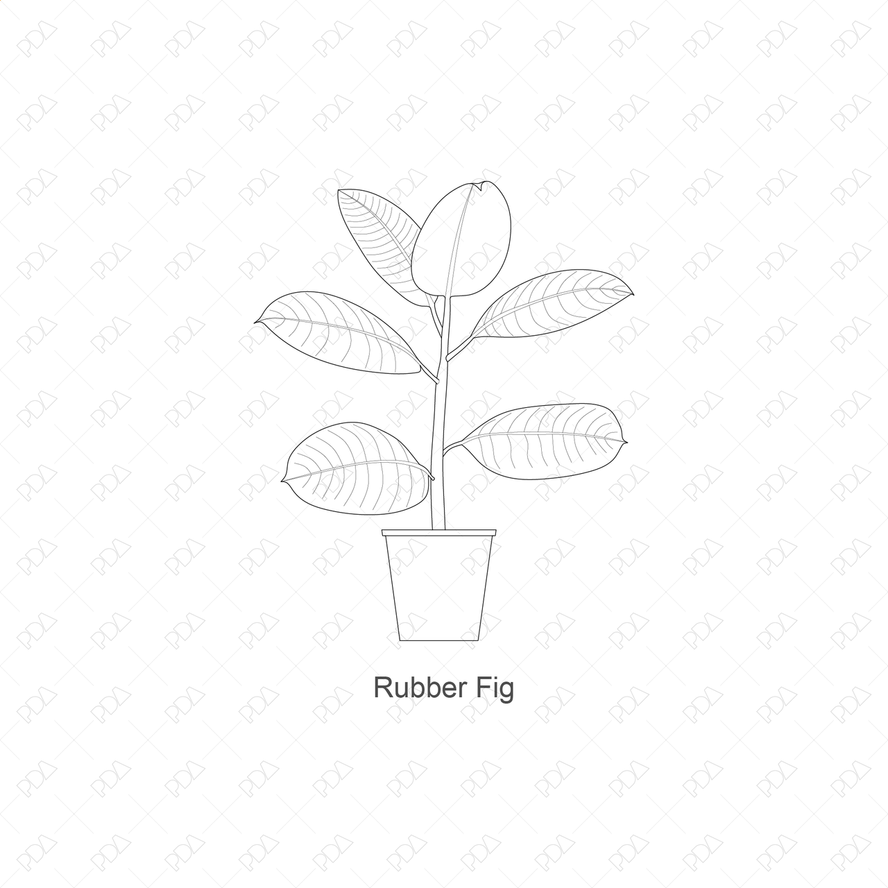 CAD, Vector Indoor Plants Set (Front view)