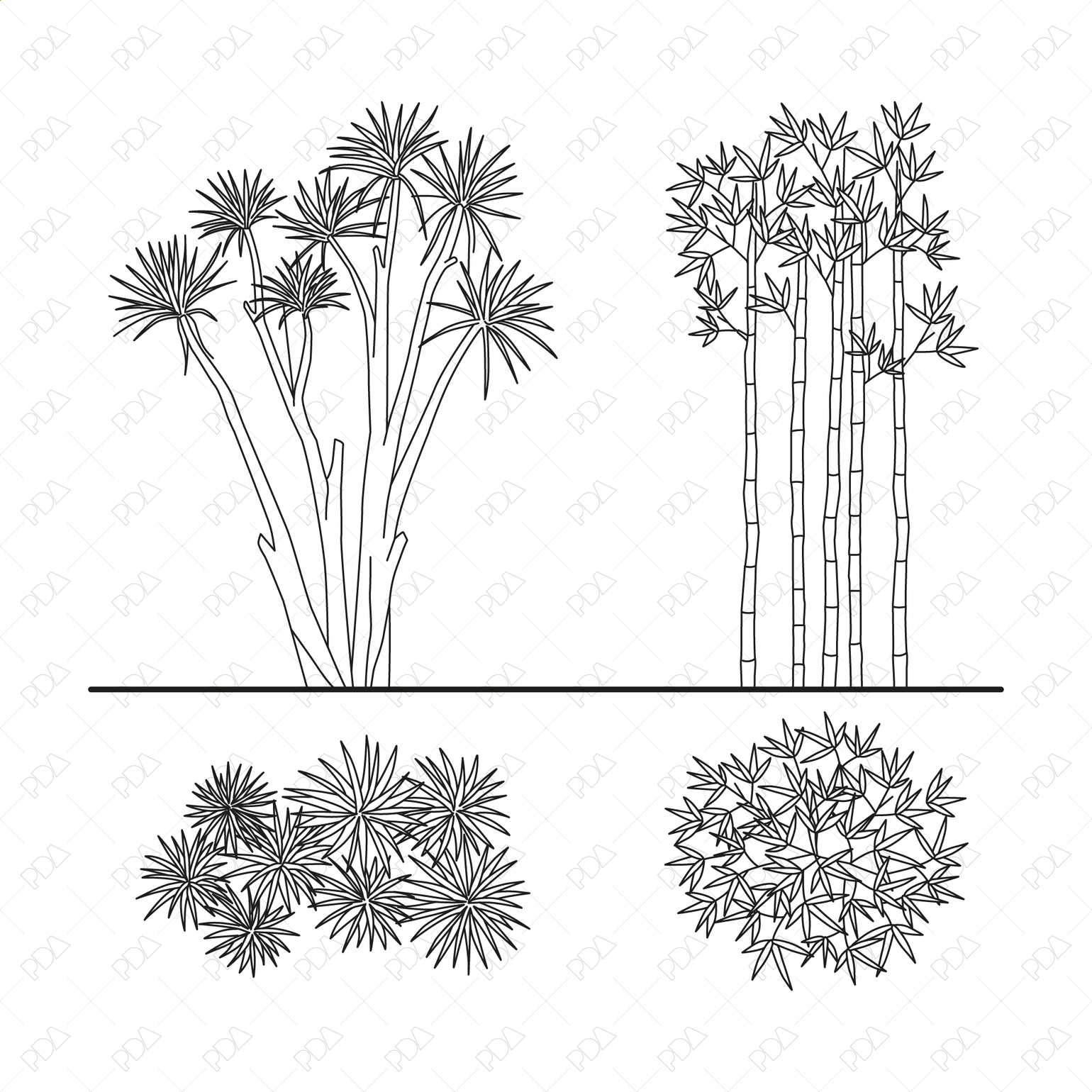 CAD, Vector Tropical Plants Set (Top + Side view)