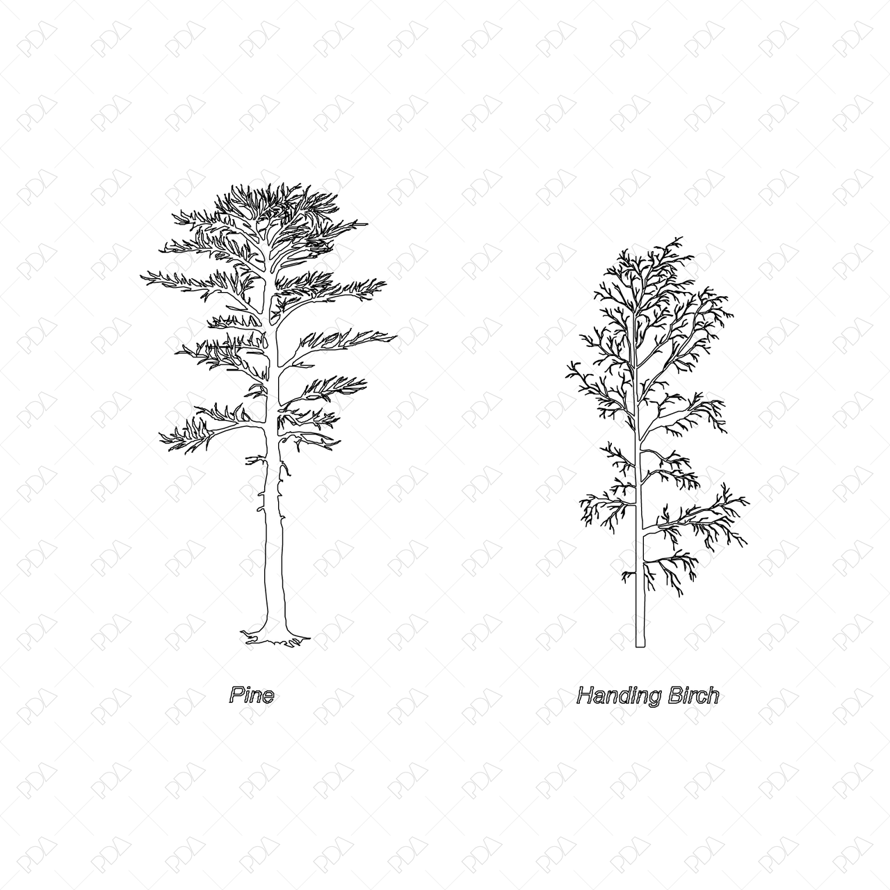 CAD & Vector Line Art Trees - Side View