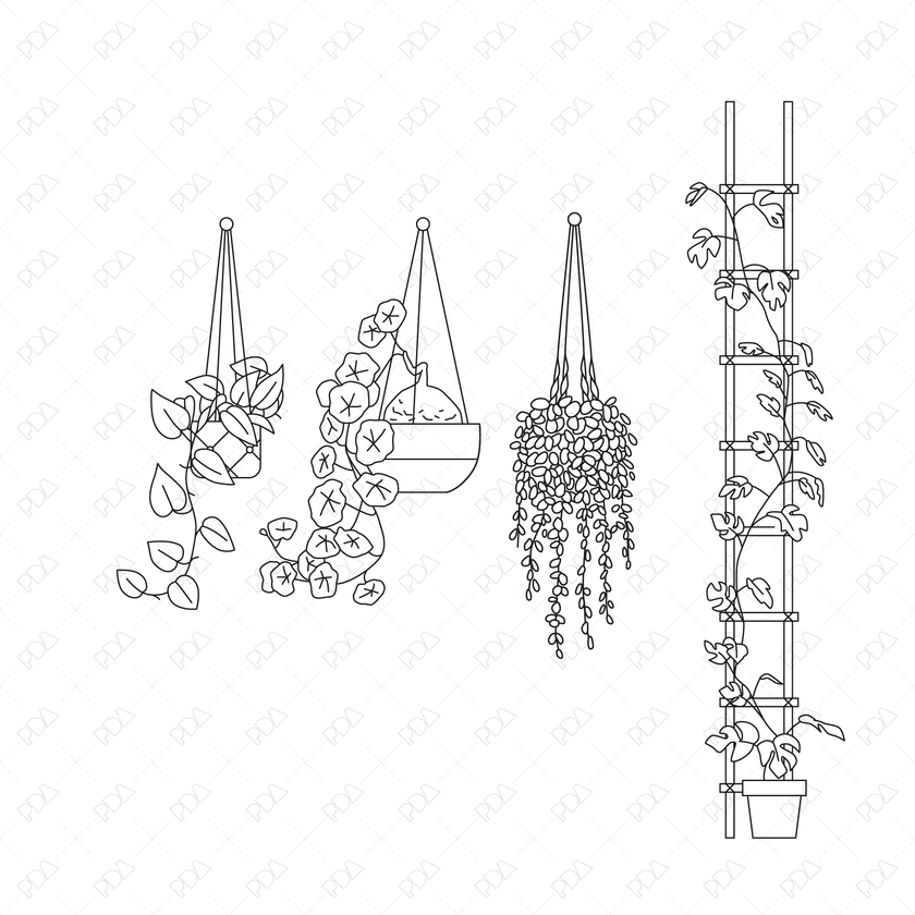 CAD & Vector Hanging Plants Set: Front & Side