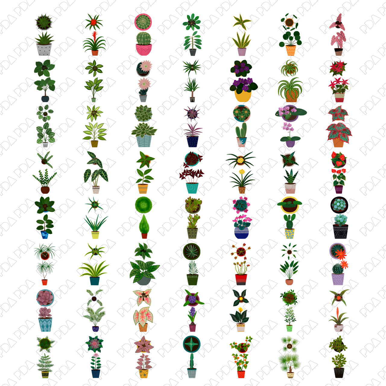 Indoor Plants Multi-Pack (Top View and Side View)